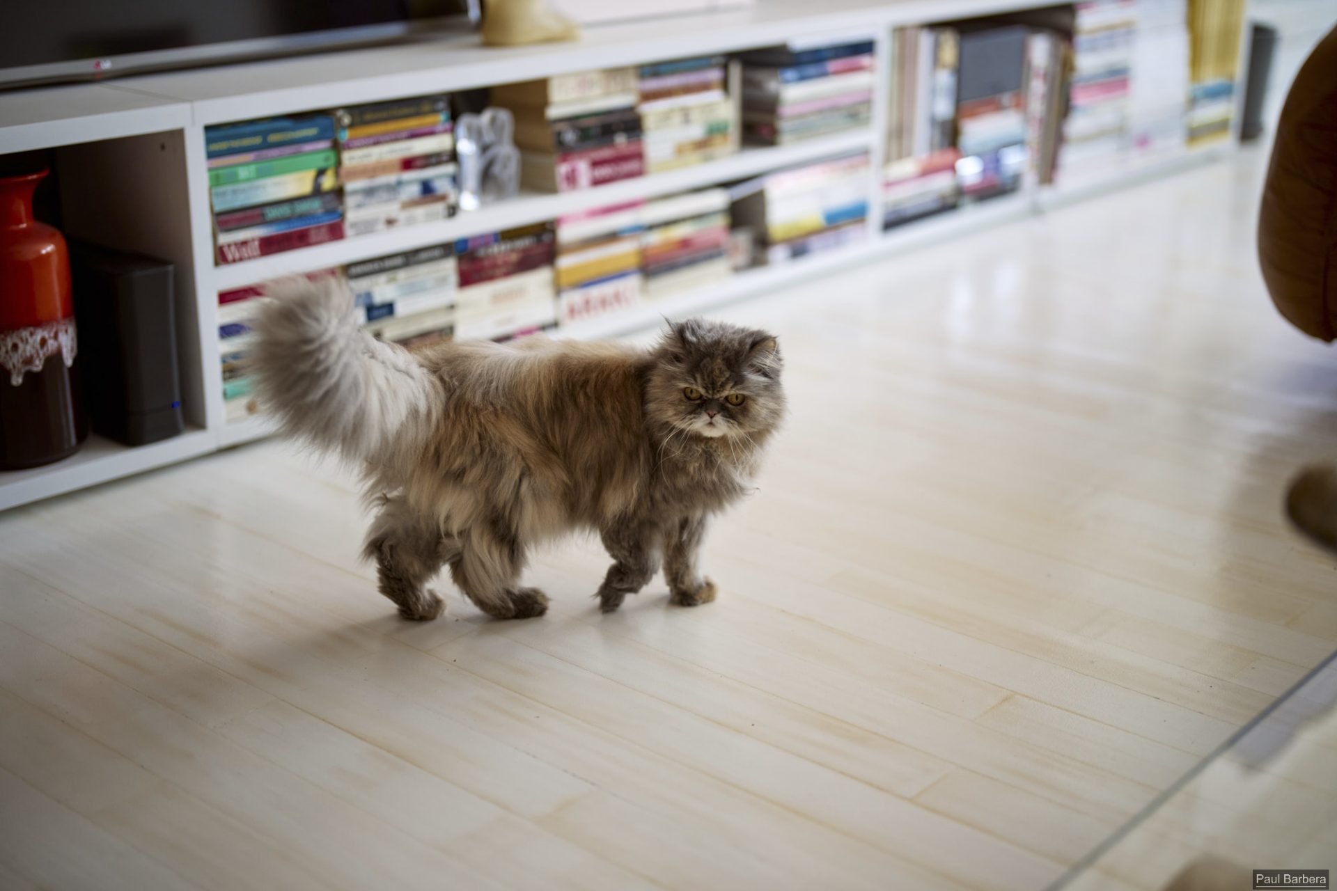 Craig Redman, Of Craig & Karl - Where They by Paul Barbera